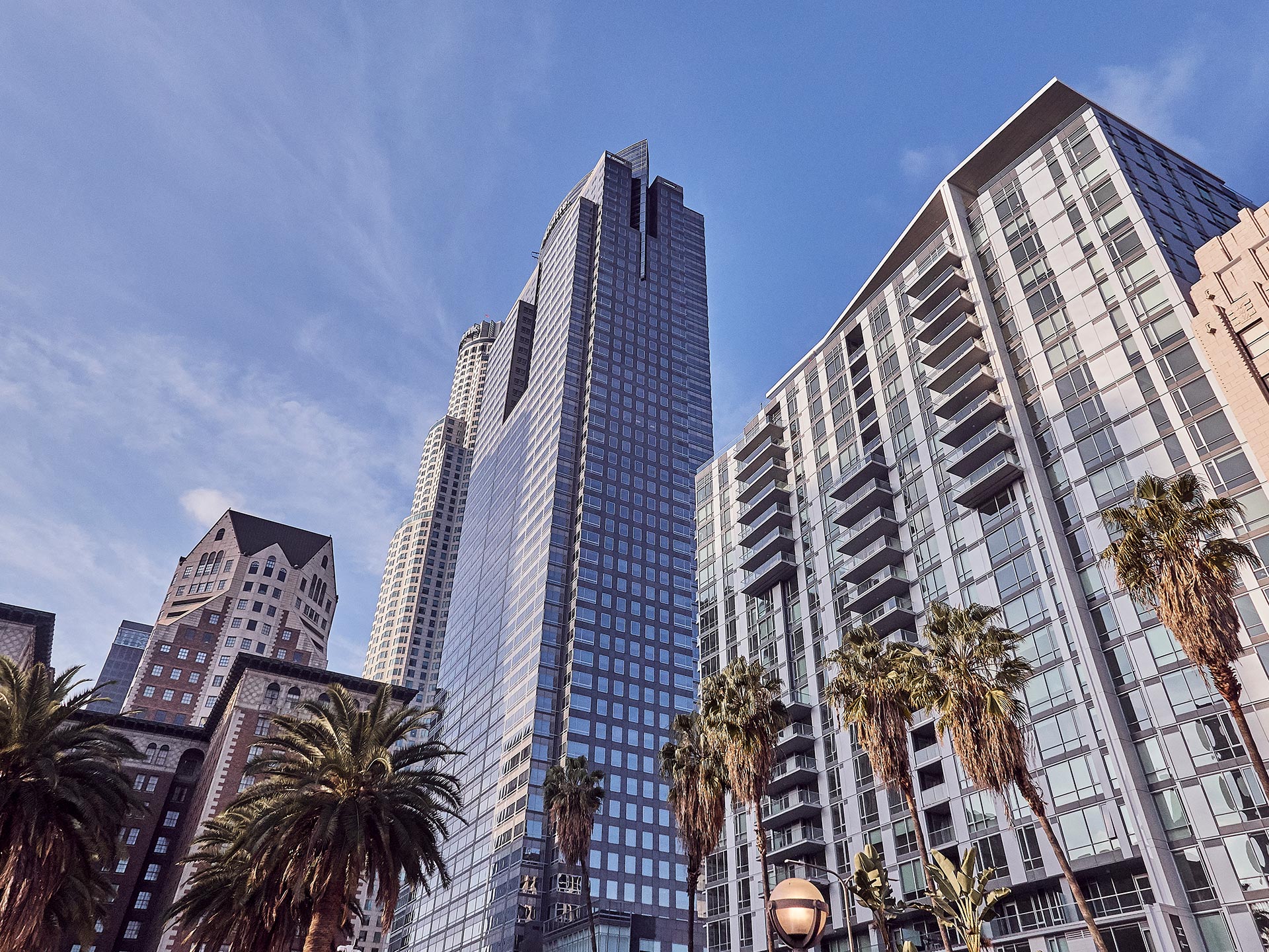 Downtown LA High Rise: Unveiling the Captivating Charms